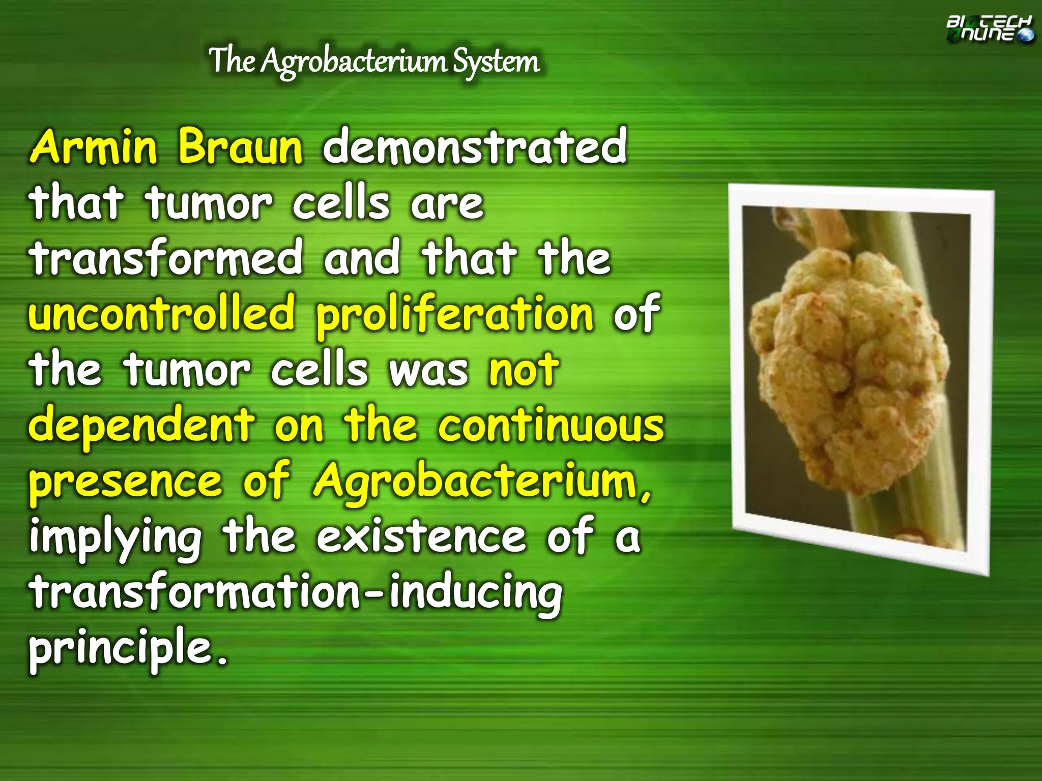 Plant Transformation Methods | PPT