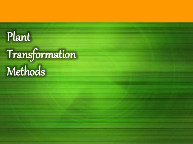 Plant Transformation Methods | PPT
