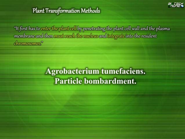 Plant Transformation Methods | PPT