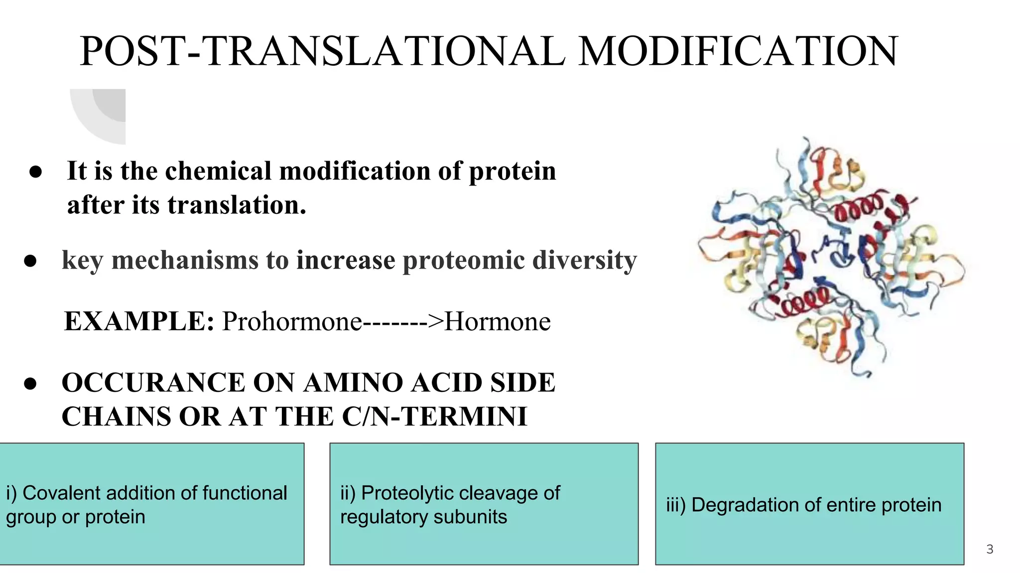 Post-Translational Modification | PPTX