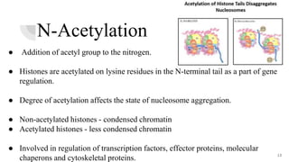 Post-Translational Modification | PPTX
