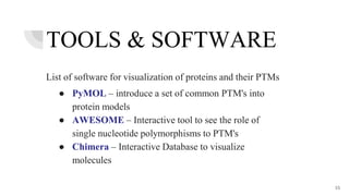 Post-Translational Modification | PPTX