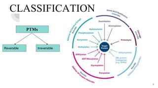 Post-Translational Modification | PPTX
