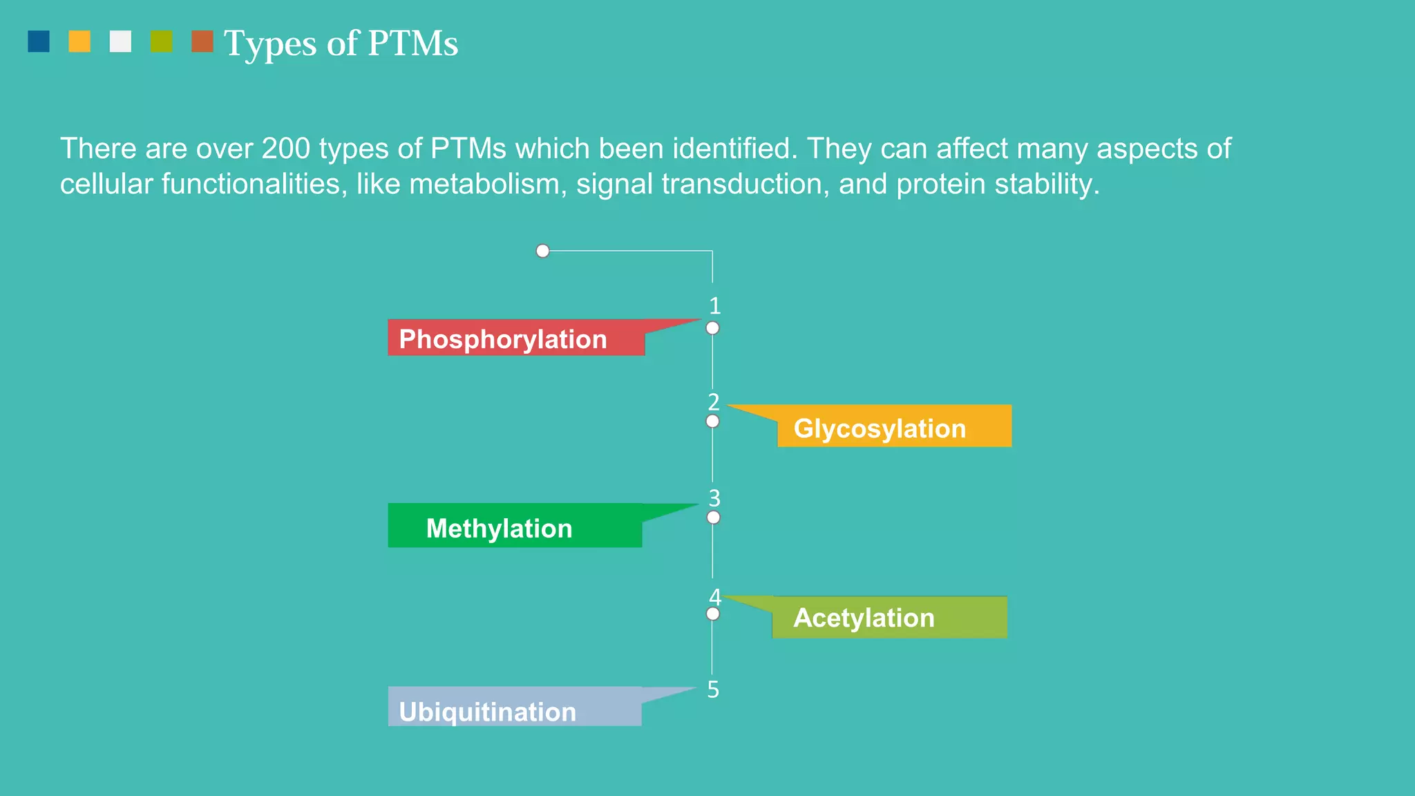 Brief Introduction Of Post Translational Modifications Ptms Ppt