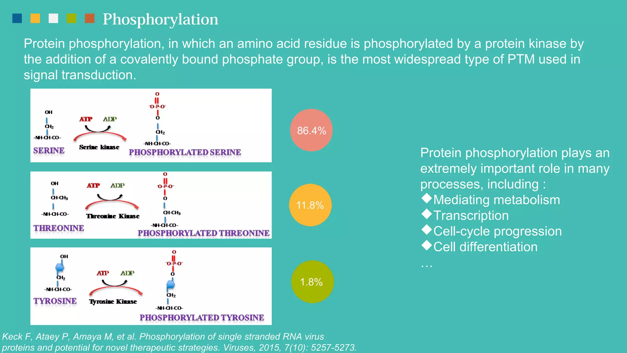 Brief Introduction Of Post Translational Modifications Ptms Ppt