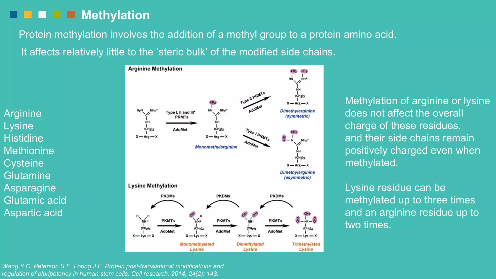 Brief Introduction Of Post Translational Modifications Ptms Ppt