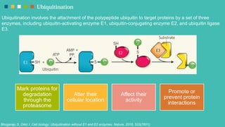 Brief introduction of post-translational modifications (PTMs) | PPT