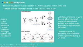 Brief introduction of post-translational modifications (PTMs) | PPT
