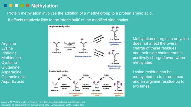 Brief Introduction Of Post Translational Modifications Ptms