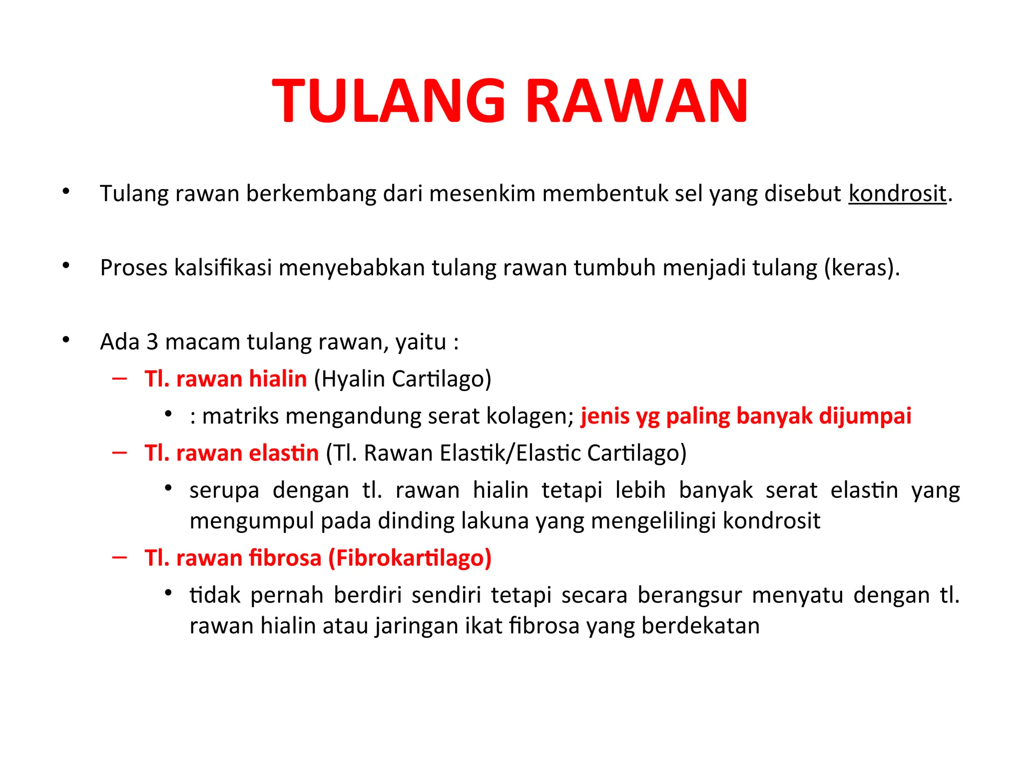 Ptm 6 anatomi Sistem Muskuloskeletal.ppt