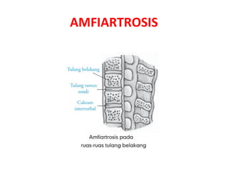 Ptm 6 anatomi Sistem Muskuloskeletal.ppt