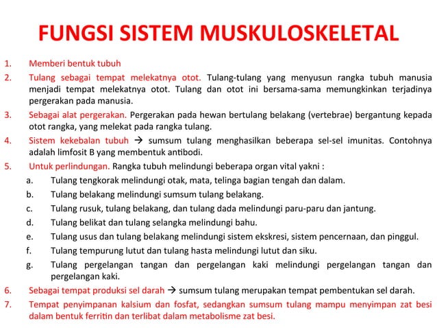 Ptm 6 anatomi Sistem Muskuloskeletal.ppt