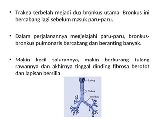 Pertemuan 6 anatomi Sistem Respirasi.ppt