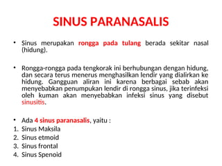 Pertemuan 6 anatomi Sistem Respirasi.ppt