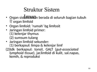Ptm 7 Sistem Kardiovaskular, Sistem Pencernaan, Sistem Imun.pptx