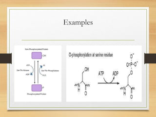 post-translational modification | PPTX