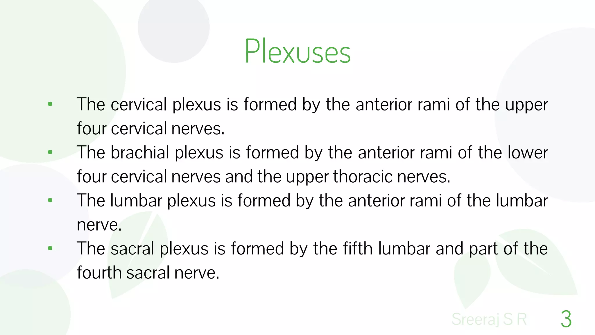 Physiotherapy Management in Peripheral nerve & Plexus injuries | PPTX