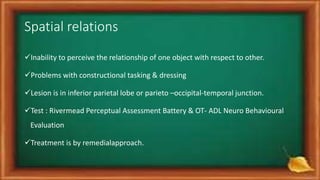 Physiotherapy management of perceptual disorders | PPTX