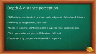 Physiotherapy management of perceptual disorders | PPTX