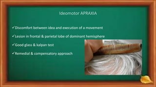 Physiotherapy management of perceptual disorders | PPTX
