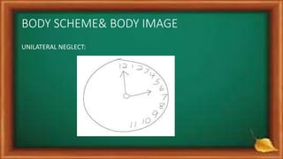 Physiotherapy management of perceptual disorders | PPTX