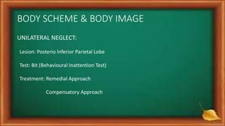 Physiotherapy management of perceptual disorders | PPTX