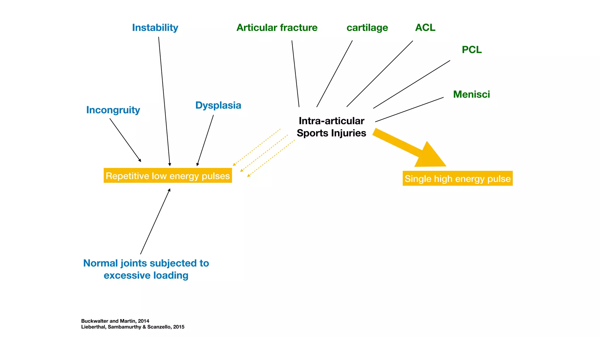 Post-traumatic Osteoarthritis 2019 | PDF