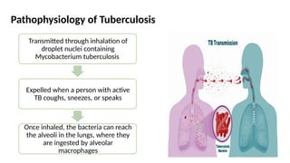 Pharmacotherapy of Tuberculosis and Drug Interactions Ace Inhibitors ...