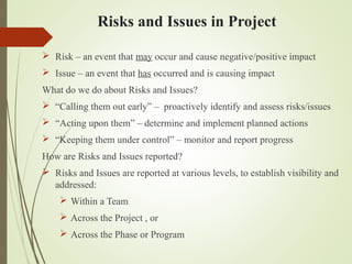 Project/Program Risk management | PPT