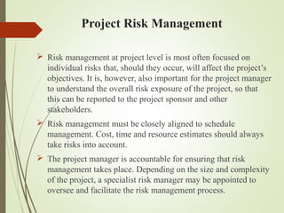 Project/Program Risk management | PPT