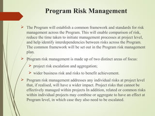 Project/Program Risk management | PPT | Personal Taxes | Personal Finance