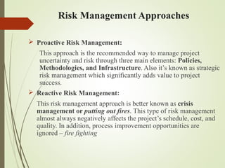 Project/Program Risk management | PPT | Personal Taxes | Personal Finance