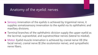 Ptosis | PPTX