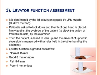 PTOSIS.pptx | Eye and Vision Conditions | Diseases and Conditions