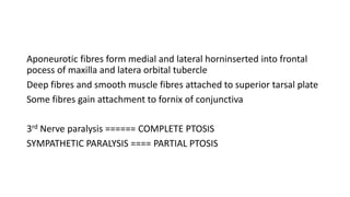 Ptosis.pptx