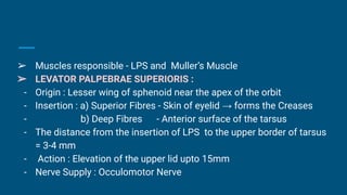 PTOSIS OF UPPER LID AND MANAGEMENT OF PTOSIS | PDF
