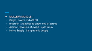PTOSIS OF UPPER LID AND MANAGEMENT OF PTOSIS | PDF