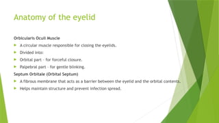 PTOSIS.pptx drooping of the eye lid presentation | PPTX