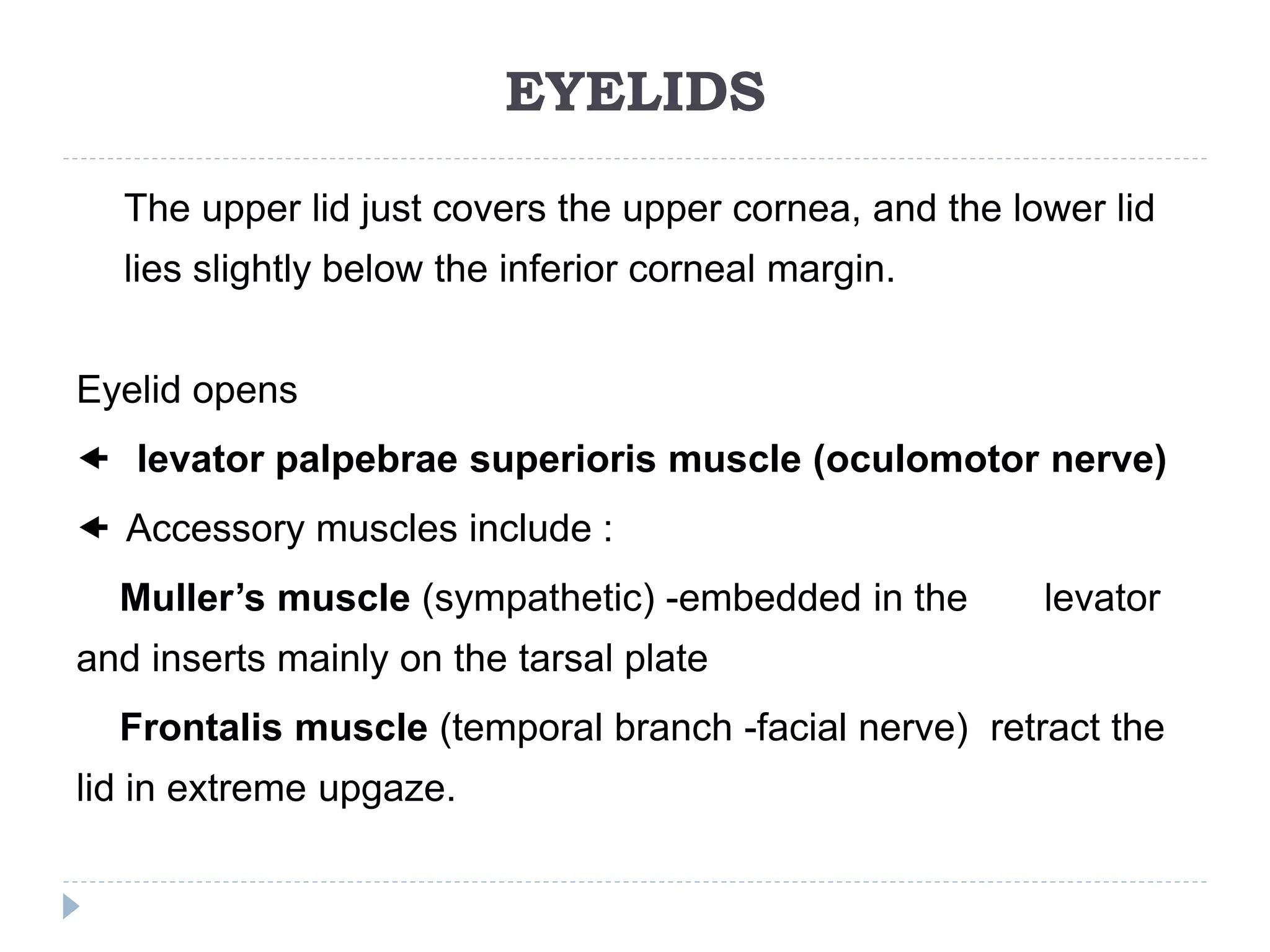 PTOSIS AND LID RETRACTION.pptx