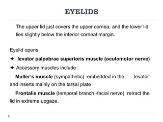 PTOSIS AND LID RETRACTION.pptx