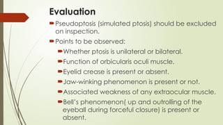 PTOSIS (BLEPHAROPTOSIS). Ptosis in Ophthalmology: Detailed Study of ...