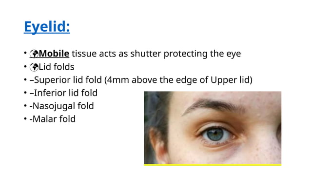Ptosis Explanation for junior ophthalmoogist.pptx