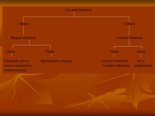 Ptosis surgery | PPTX