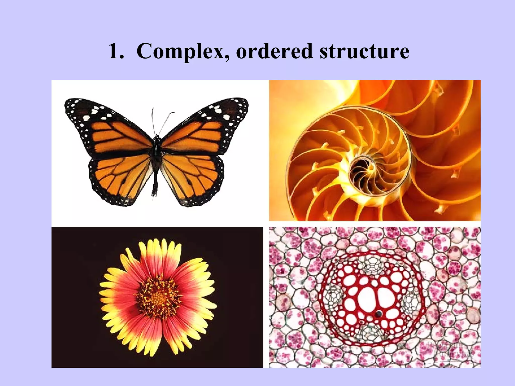 origin of life | PPT