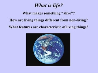 origin of life | PPT