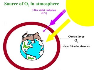Respiration and photosynthesis | PPT