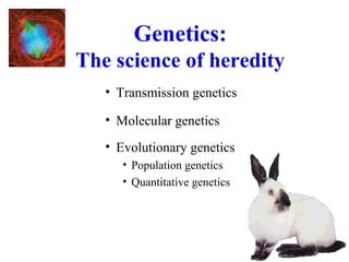DNA & Heredity-I | PPT