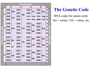 DNA & Heredity-I | PPT