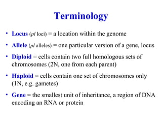DNA & Heredity-II | PPT