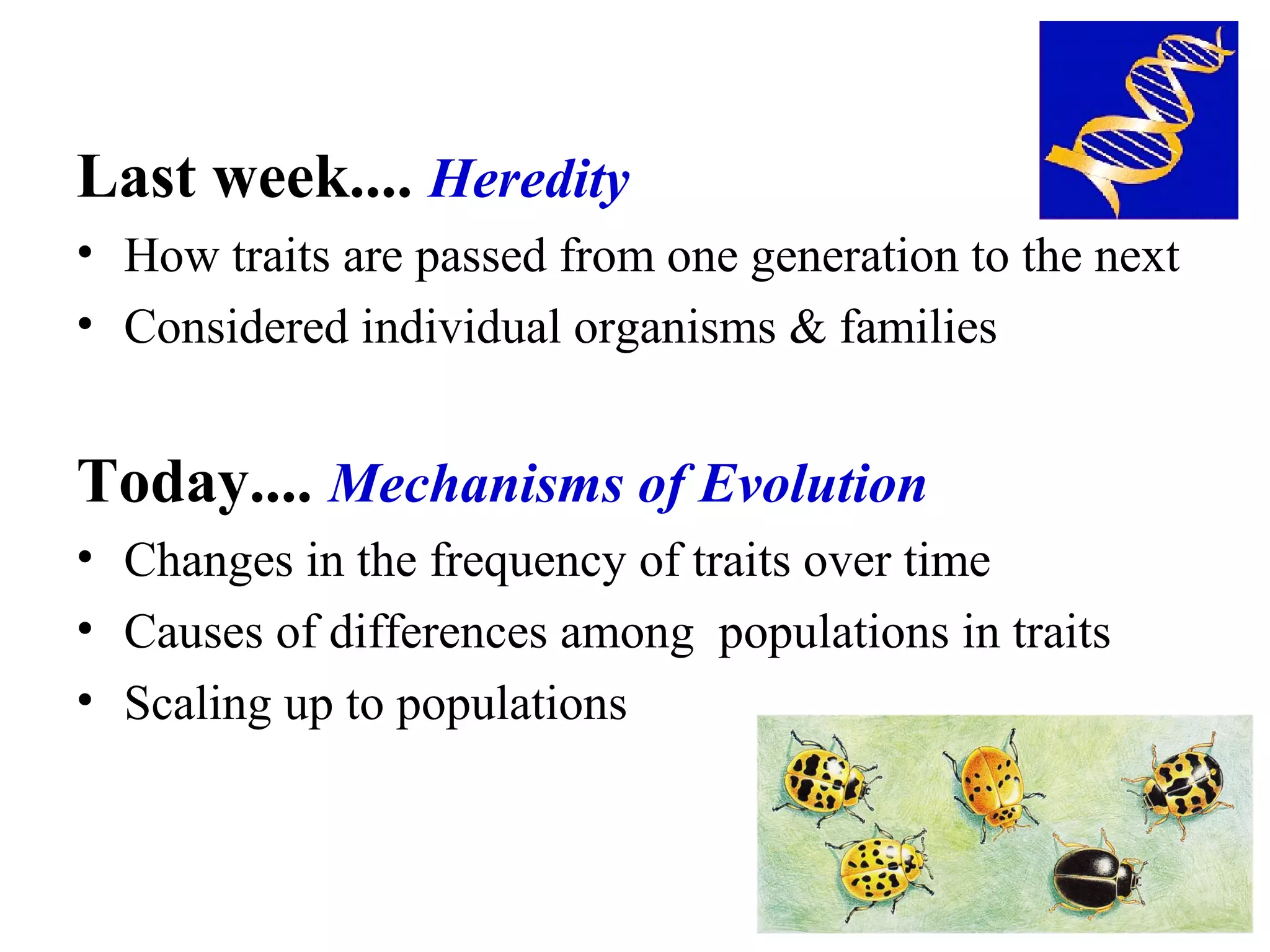 Mechanisms of evolution-I | PPT